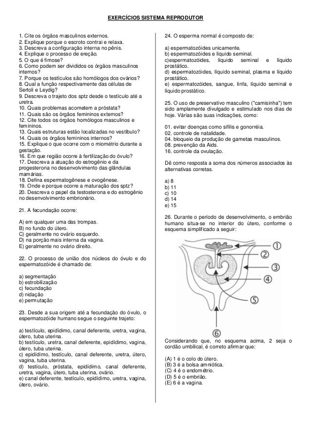 Exercicios Sobre Sistema Reprodutor Masculino E Feminino Ensino ... Exercicios Sobre Sistema Reprodutor Masculino E Feminino Ensino ...