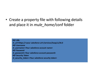 mule salesforce | PPTX