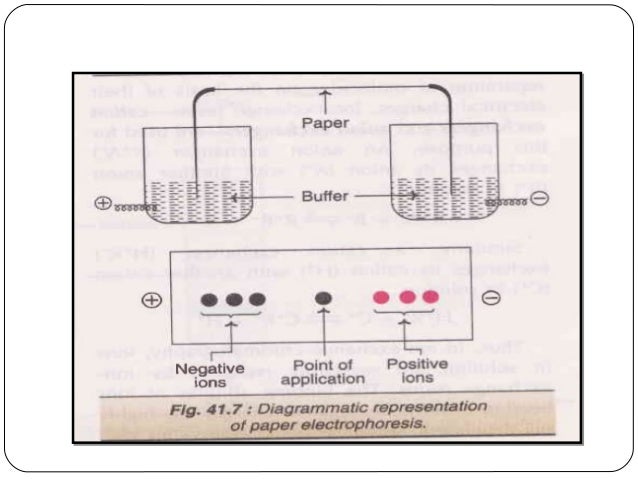 Paper electrophoresis
