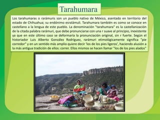 13. EXPOCISION REGIONES INDIGENAS | PPT