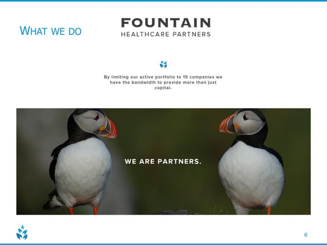 Ena Prosser, Fountain Healthcare Partners | PDF