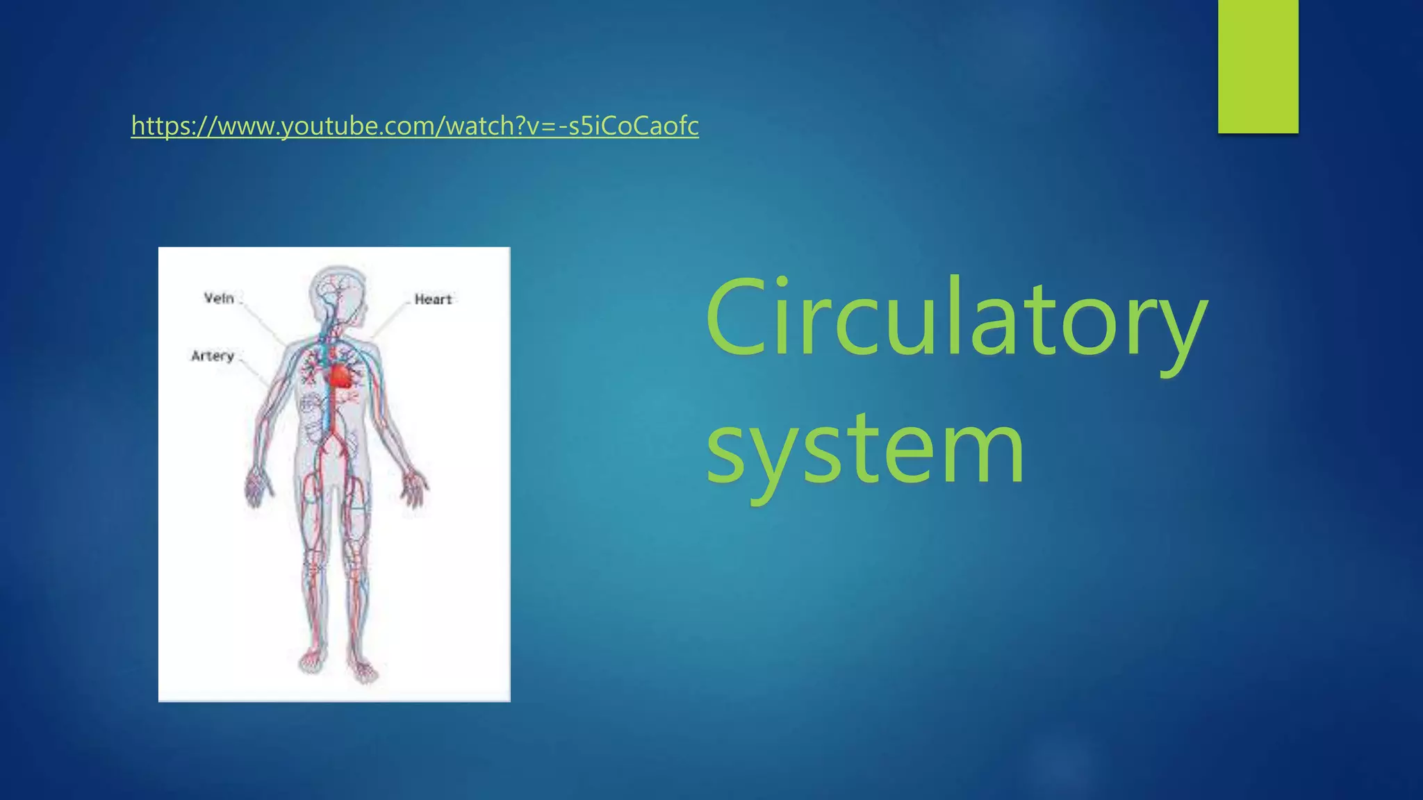 who we are: our systems´ functions and balance | PPT