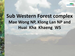 คมกริช เศรษบุบผา กิจกรรมป่าตะวันตก | PPT
