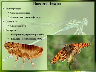 13. Insekti | PPT