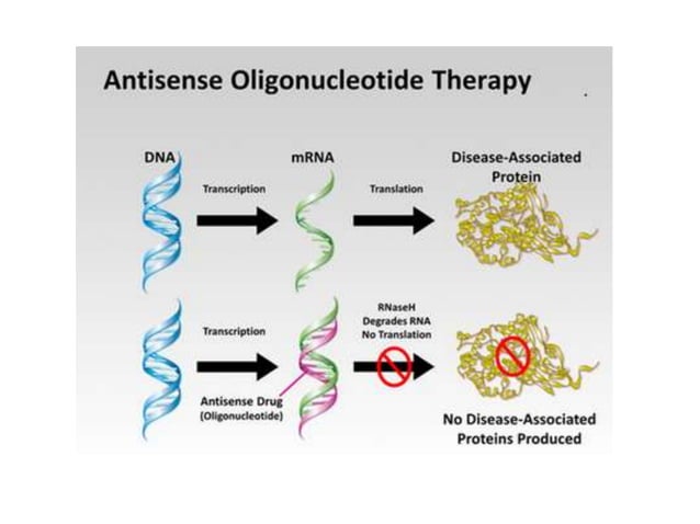 Antisense therapy | PPTX