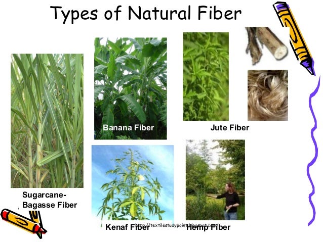 Types of Fiber