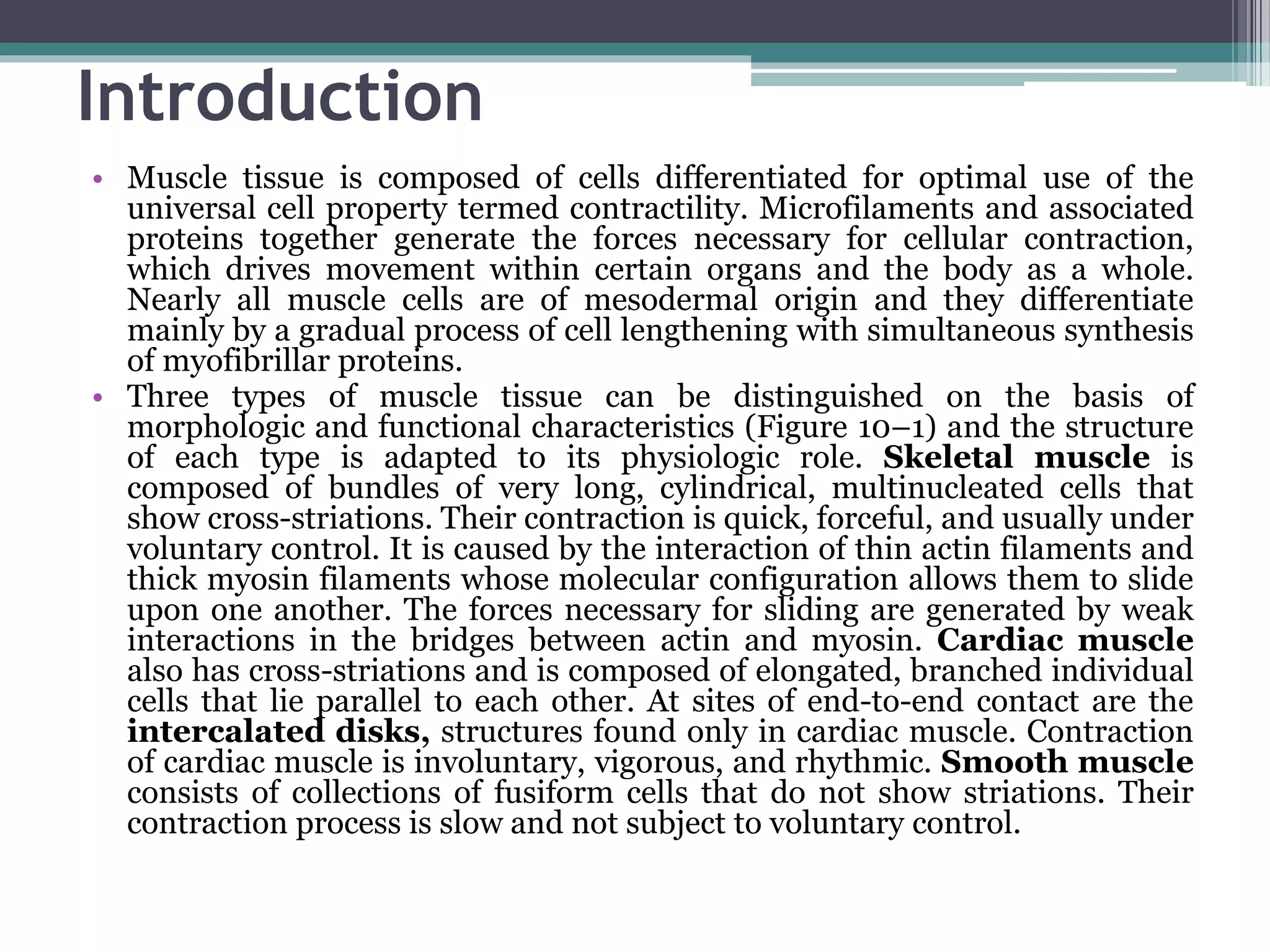 Histology of Muscle tissue | PPTX