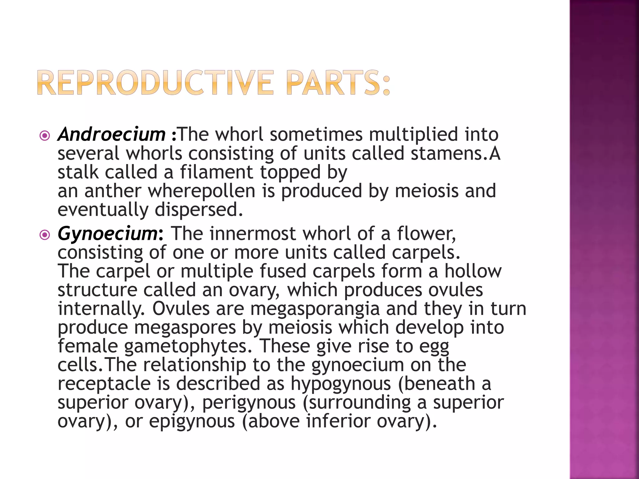 Anatomy of Reproductive Parts: Flower, Fruit,Seed | PPTX