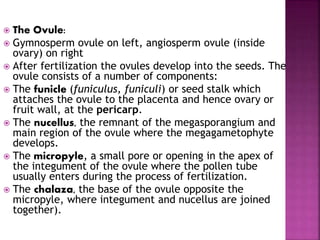 Anatomy of Reproductive Parts: Flower, Fruit,Seed | PPTX