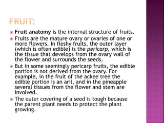 Anatomy of Reproductive Parts: Flower, Fruit,Seed | PPTX