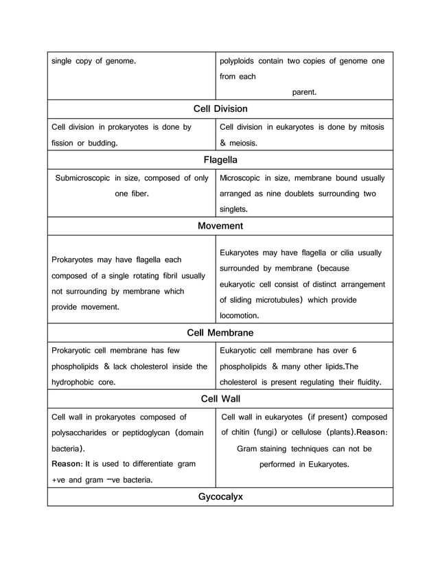 Difference Between Prokaryotes And Eukaryotes Docx Biological 7999
