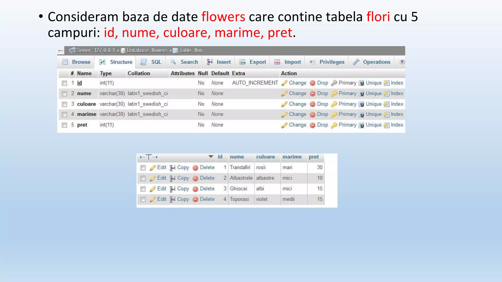 13. CodeIgniter vederea inregistrarilor3 | PPT