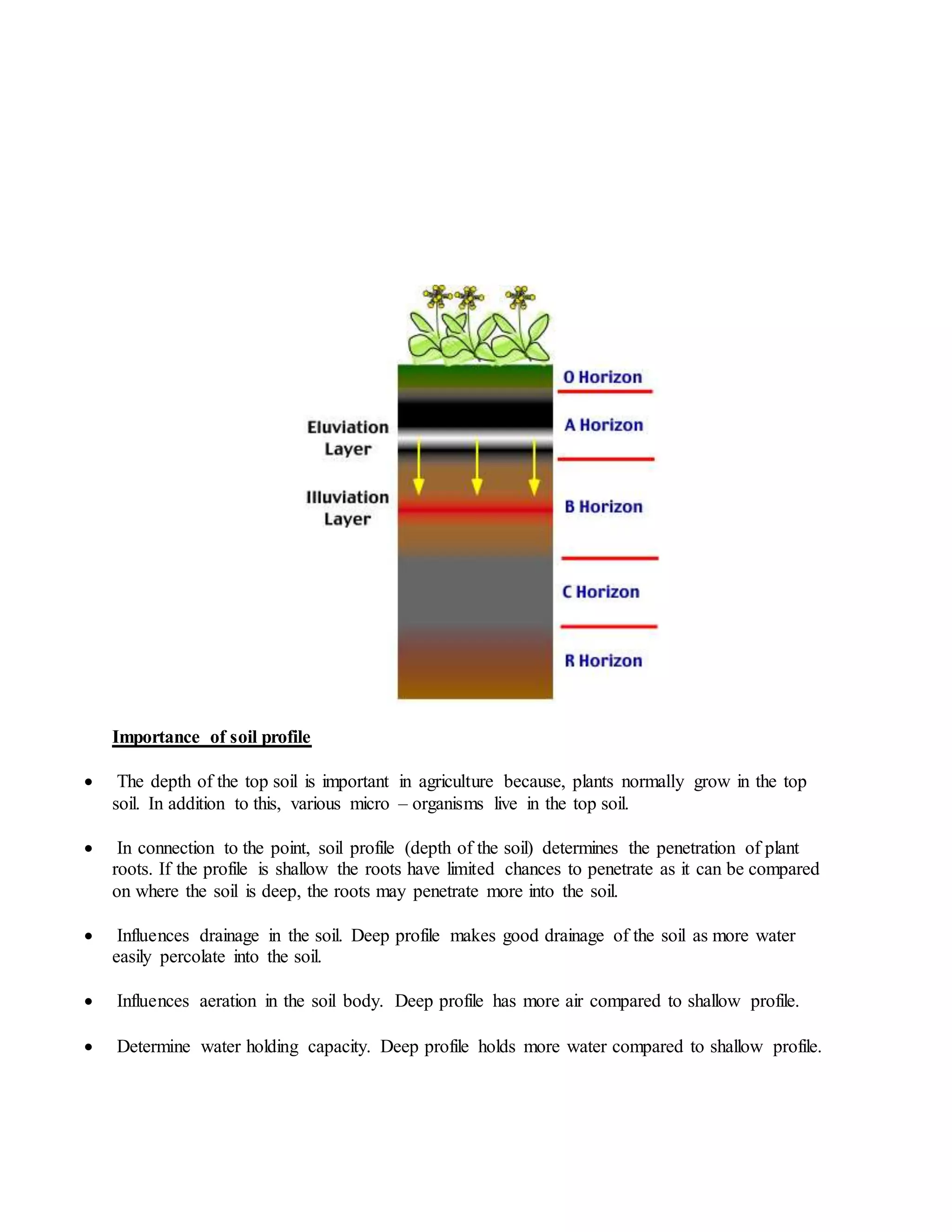 PHYSICAL GEOGRAPHY 1.5 -STUDY OF SOIL | DOCX