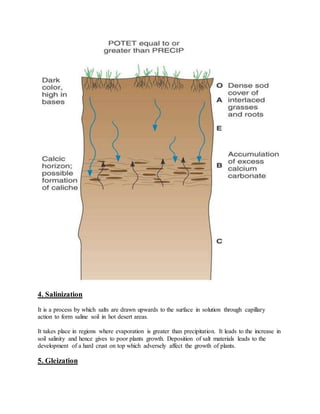 Soil Profile Diagram Geography