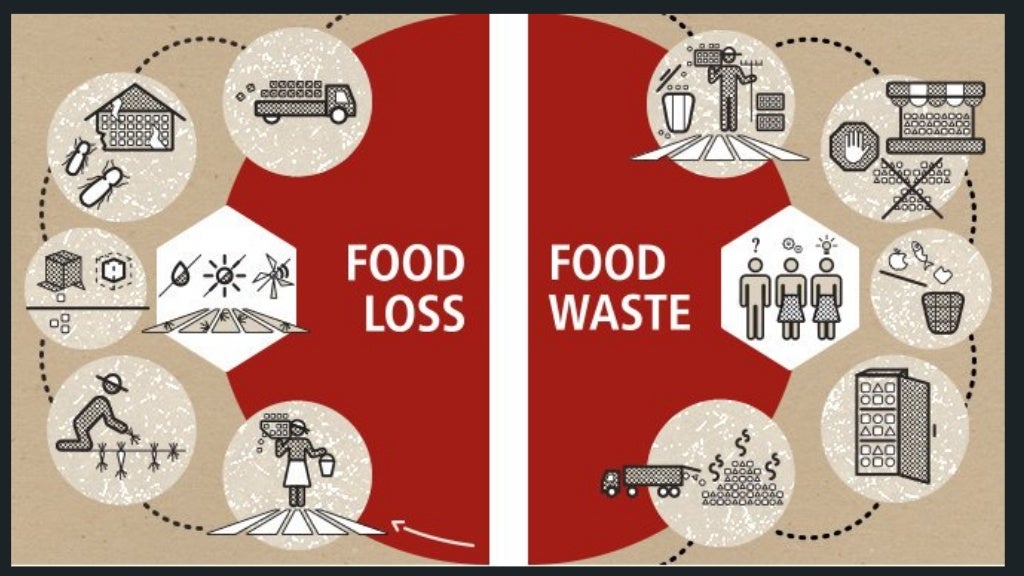 Food waste management