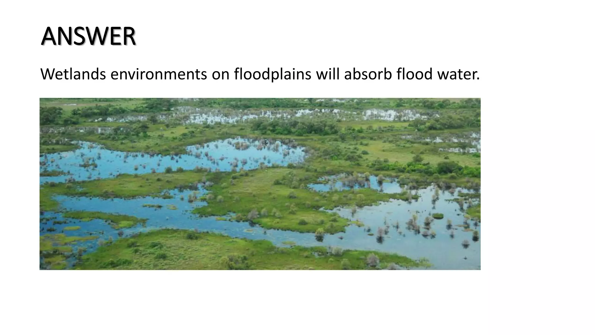REVISION AS CAMBRIDGE GEOGRAPHY: RIVERS - SUSTAINABLE FLOOD MANAGEMENT ...