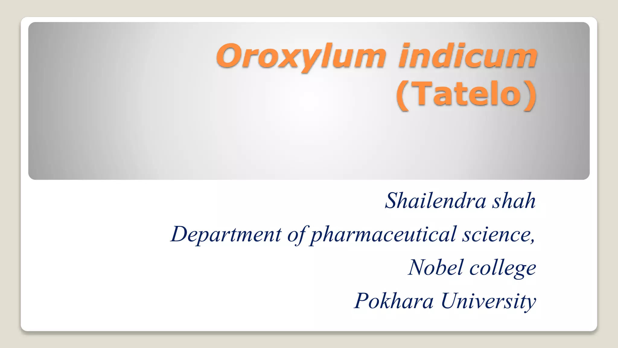 13. oroxylum indicum( tatelo) | PPTX