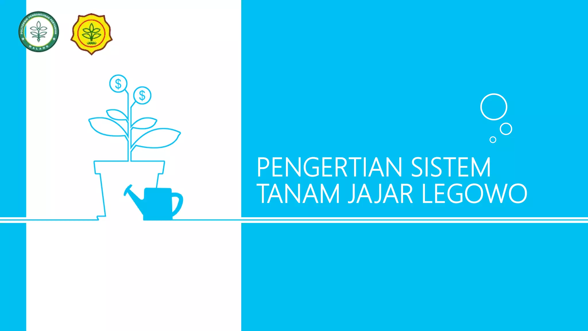 TANAM PADI SISTEM JAJAR LEGOWO-PUTRI LESTARI | PPTX