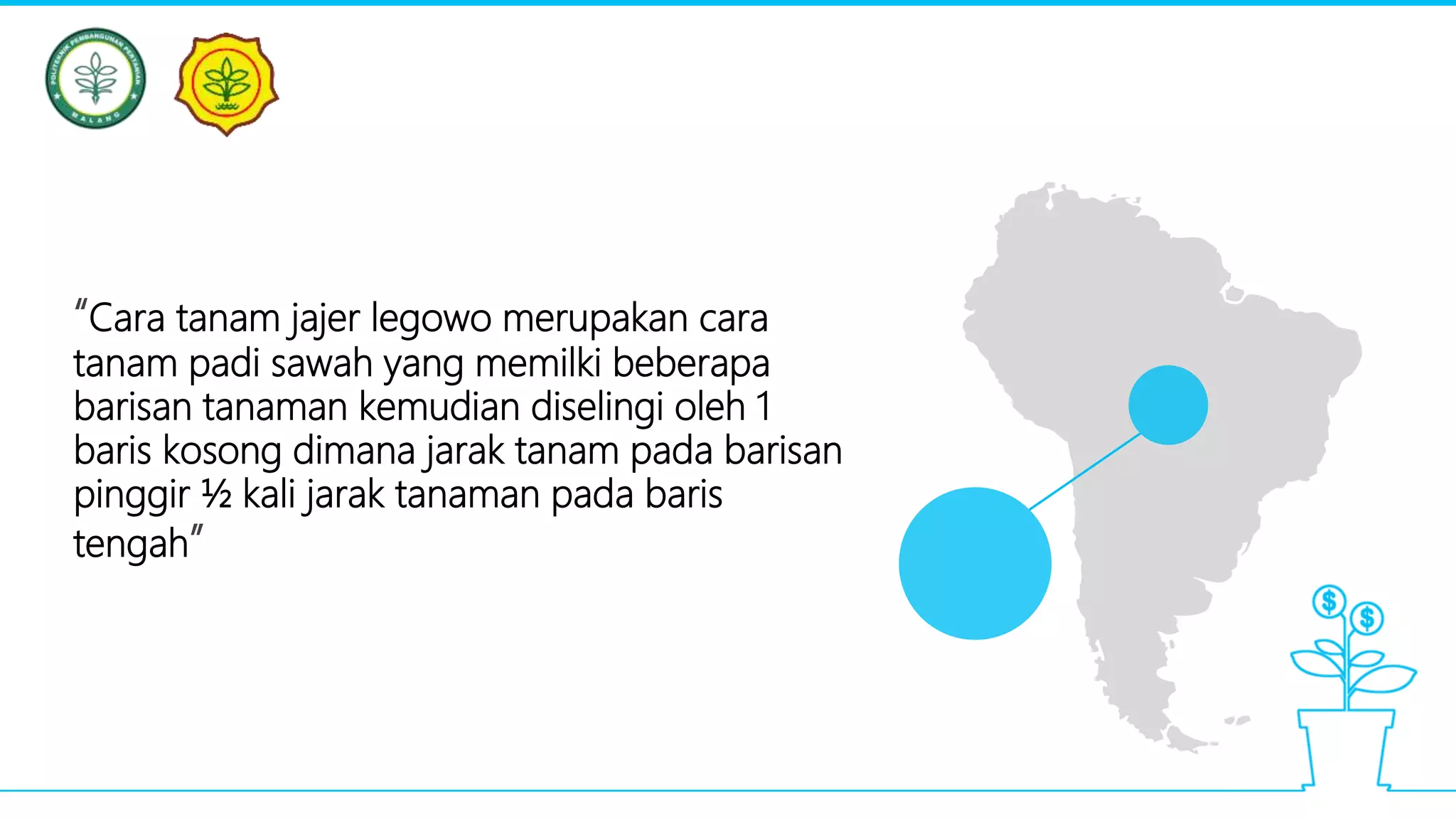 TANAM PADI SISTEM JAJAR LEGOWO-PUTRI LESTARI | PPTX