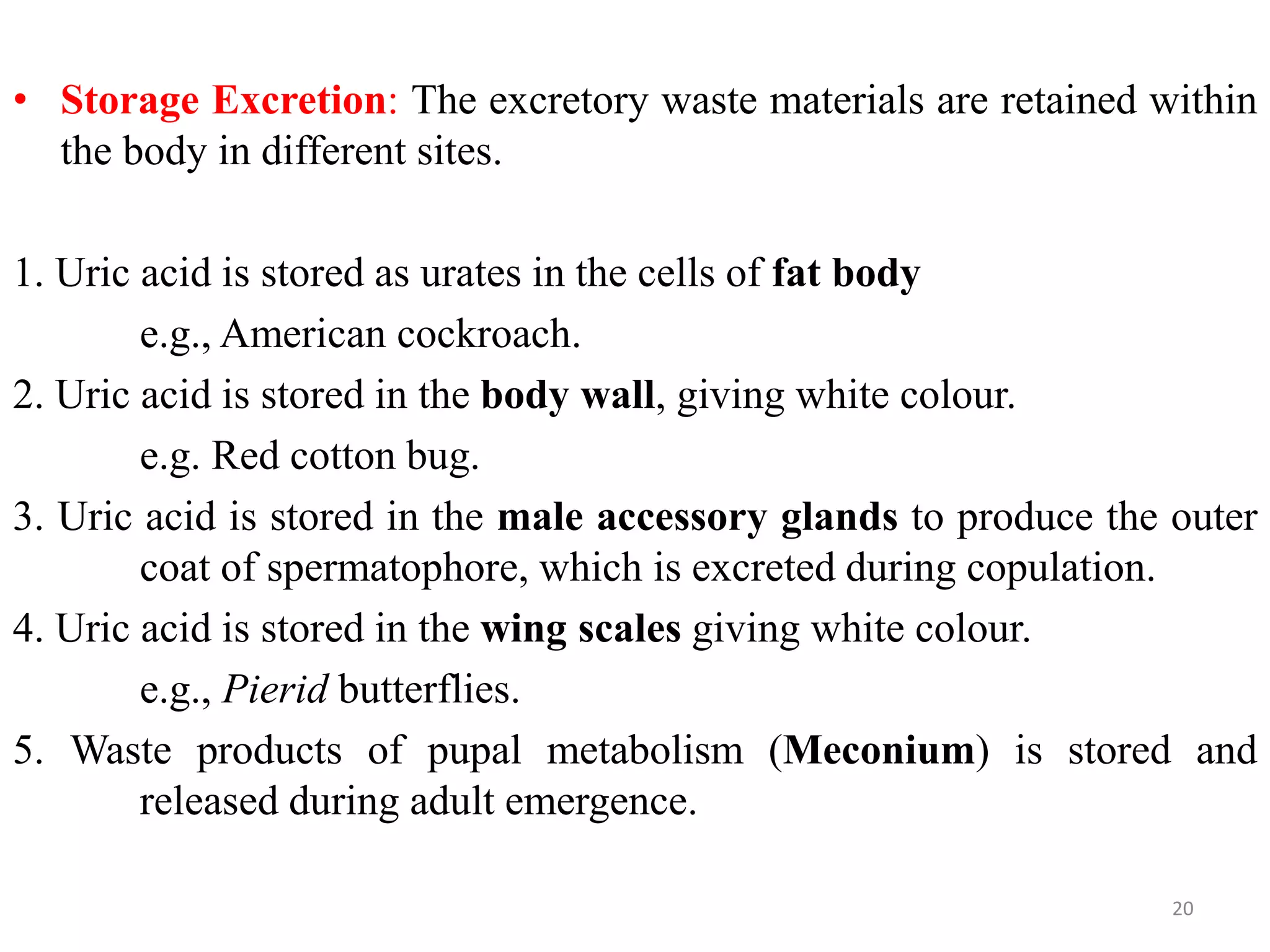 Excretory system | PPTX