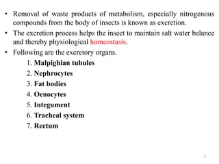 Excretory system | PPTX