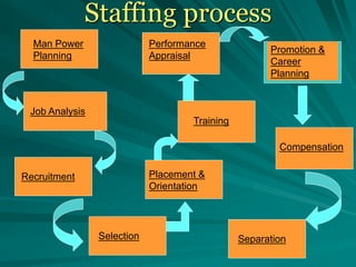Staffing; Definition, Scope, Need, Significance, Process. | PPT