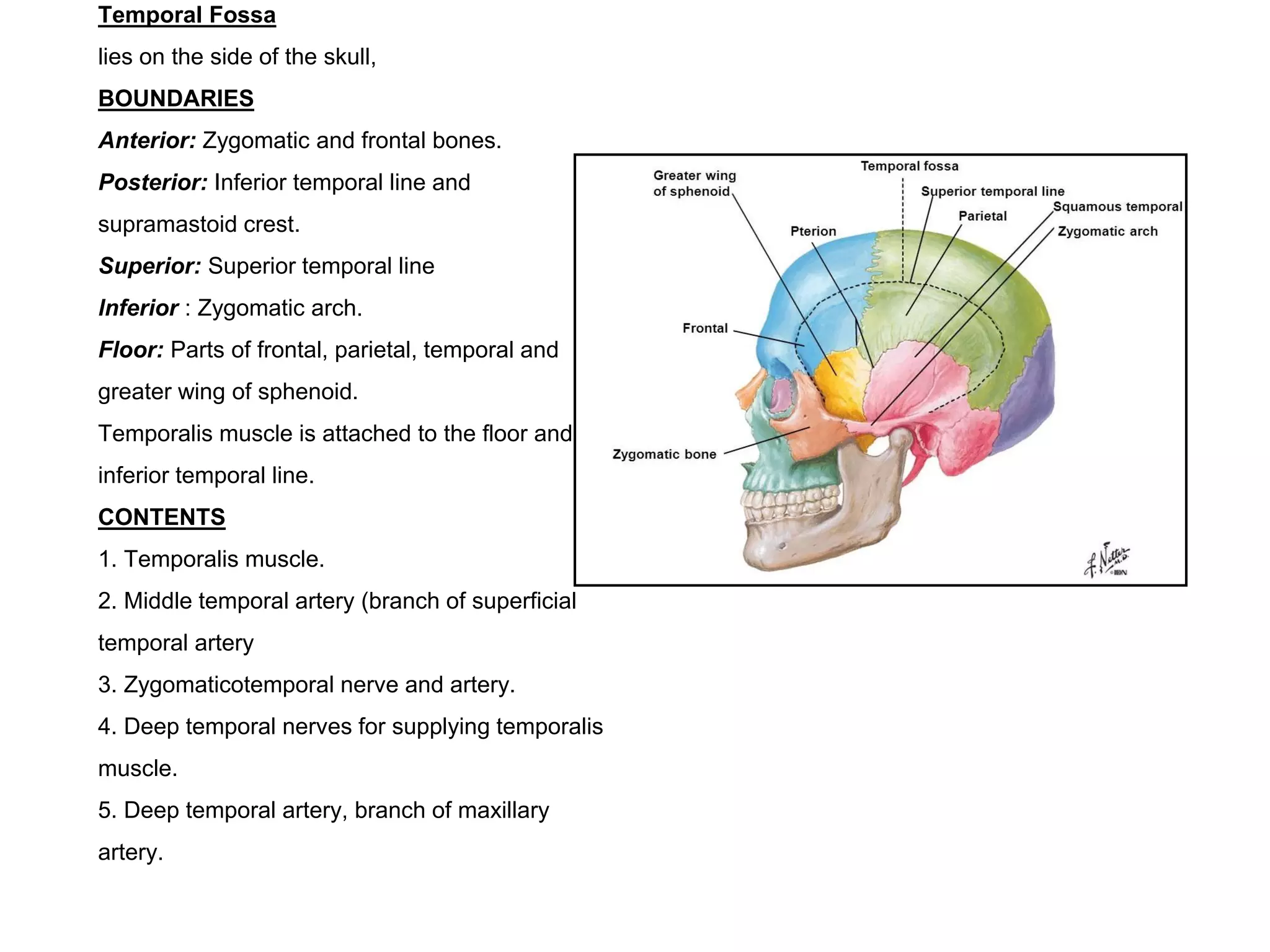 Temporal & infratemporal region | PPTX