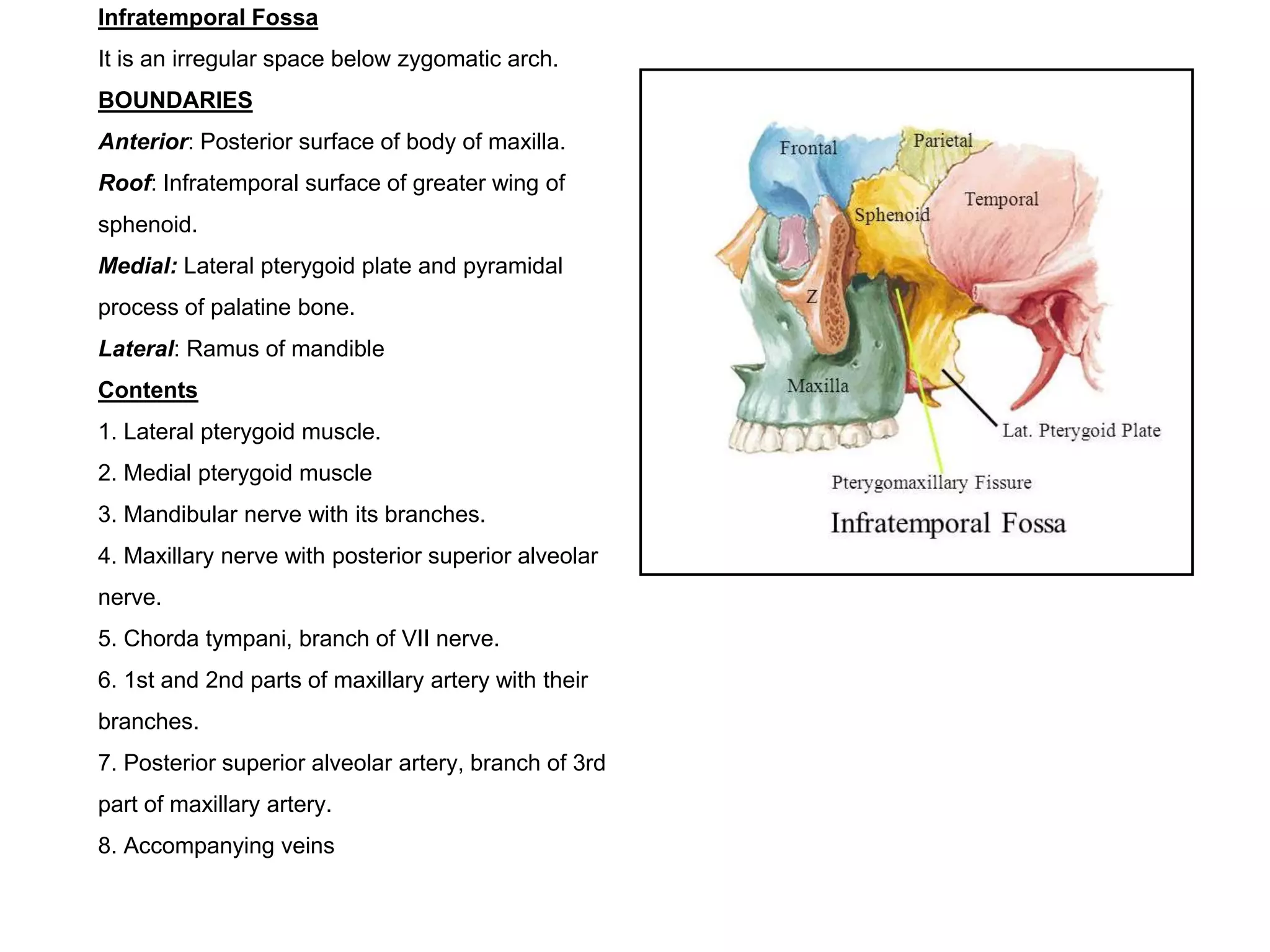 Temporal & infratemporal region | PPTX