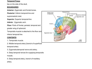 Temporal & infratemporal region | PPTX