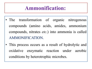 Microbiology of green manuring | PPT