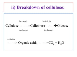 Microbiology of green manuring | PPT