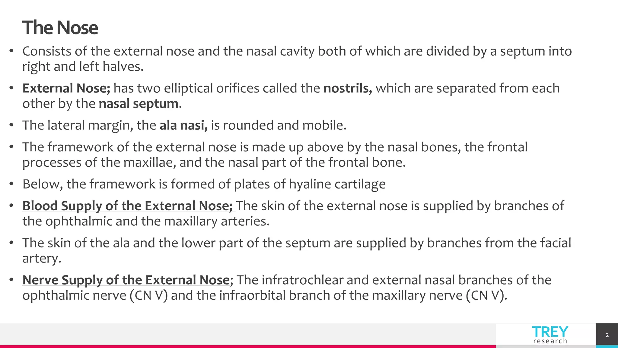 The Respiratory System in the Head and Neck | PPTX