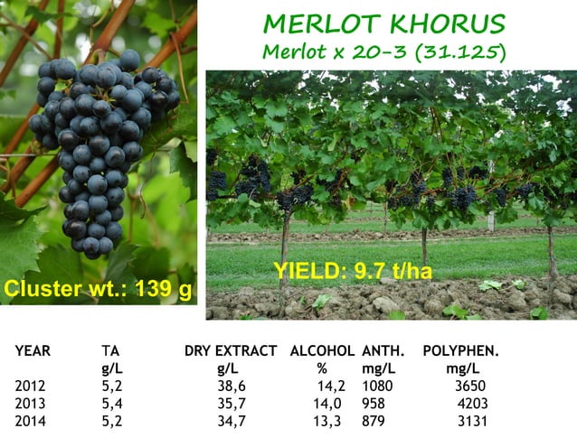 "Vineyard and climate change" by Enrico Peterlunger | PDF