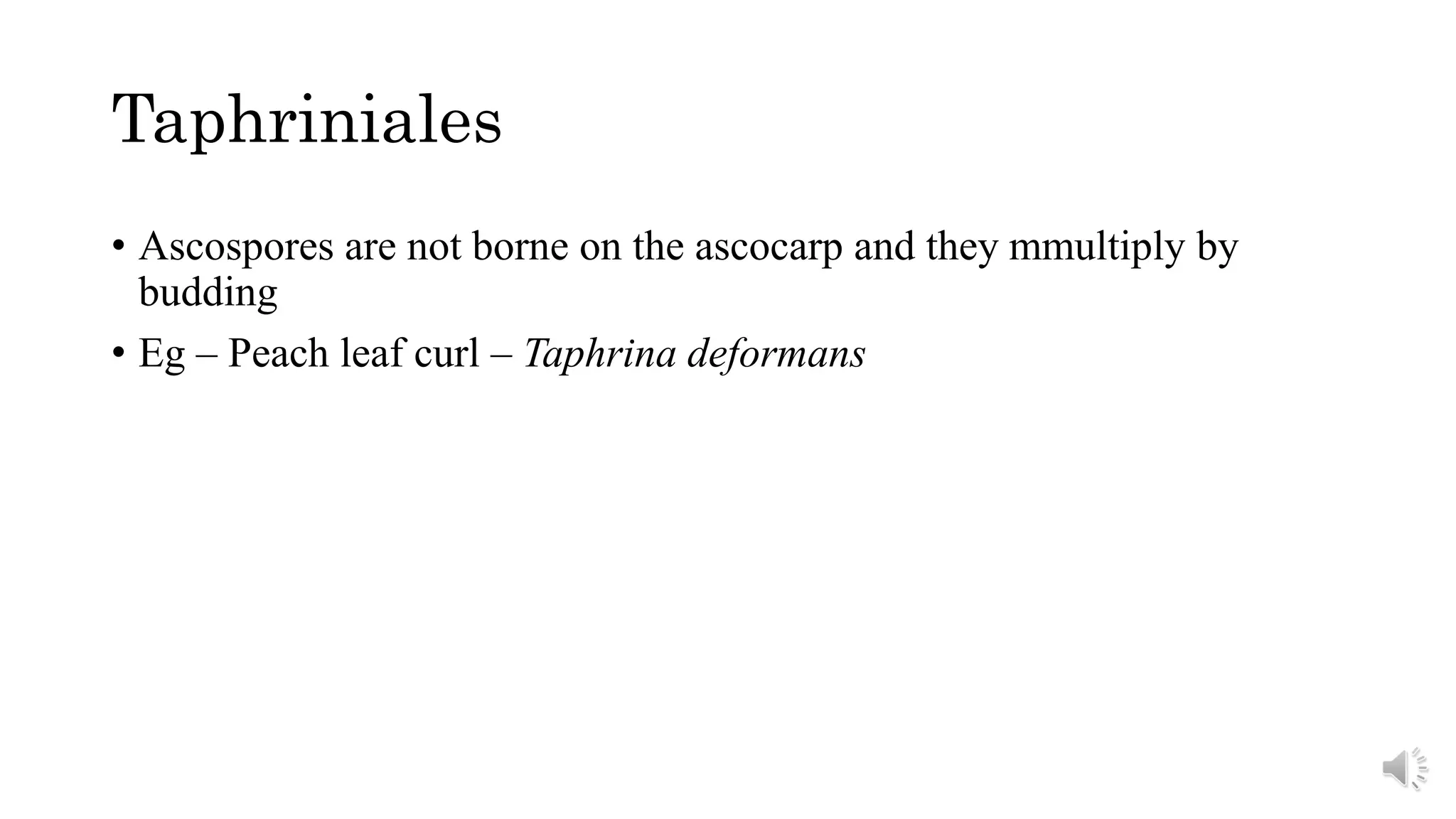 Taphrinomycotina | PDF