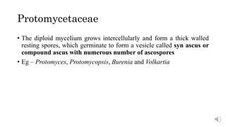 Taphrinomycotina | PDF