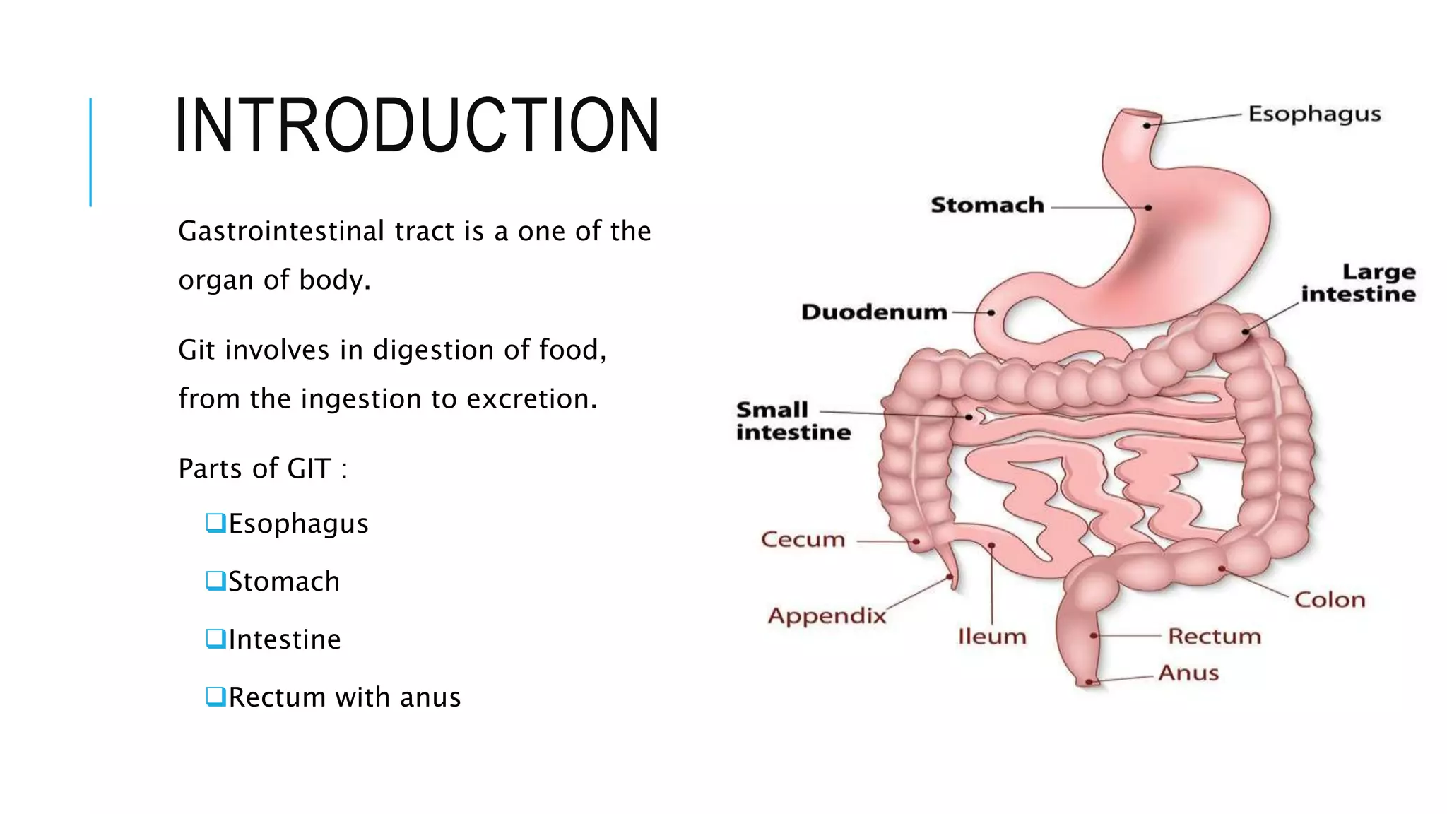 GASTRO INTESTINAL AGENT (ACIDIFYING AGENT) | PPTX