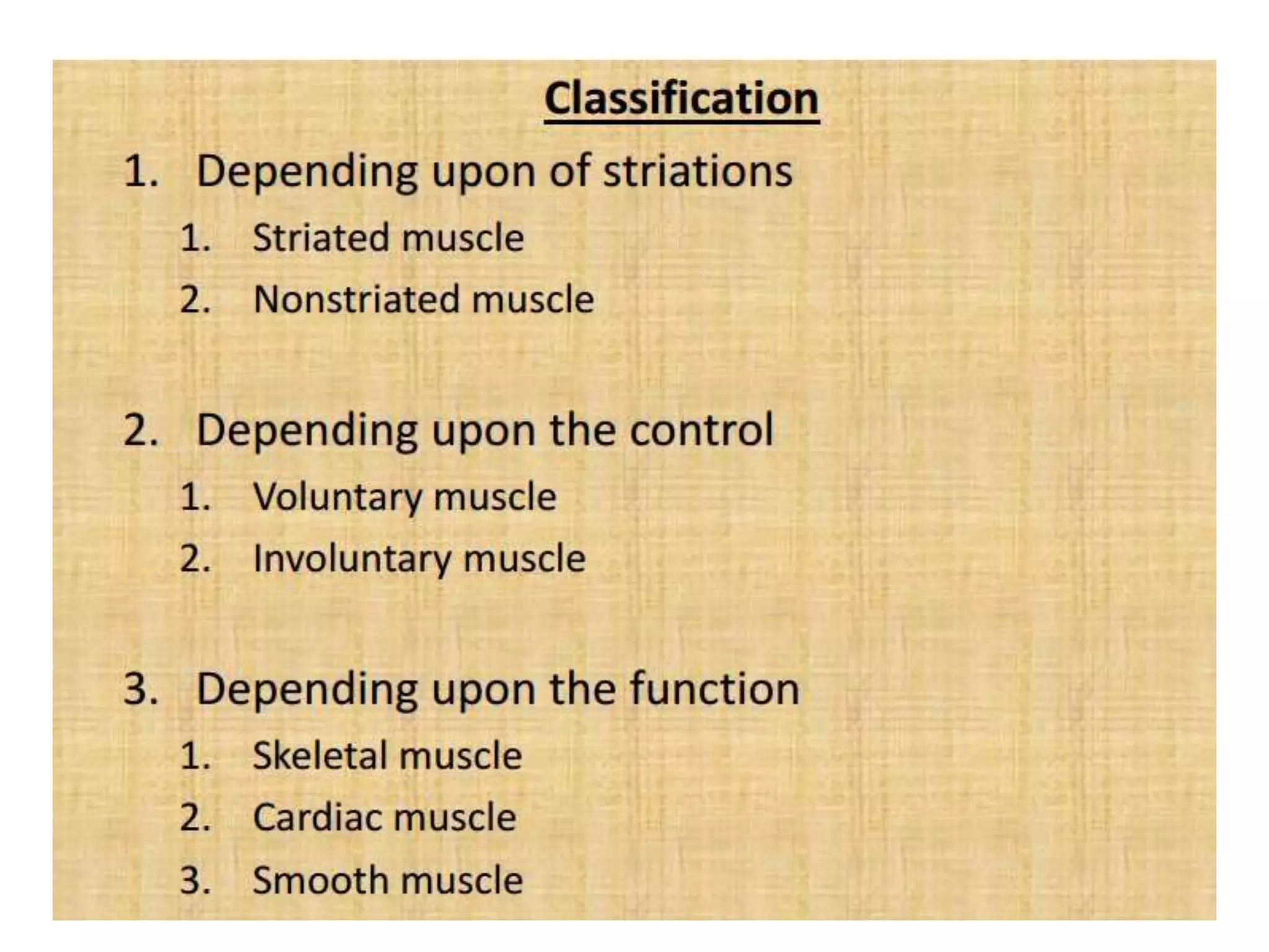 Types and Anatomy of muscles | PPT