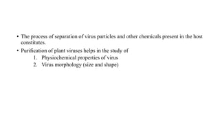Isolation and purification of plant viruses | PDF