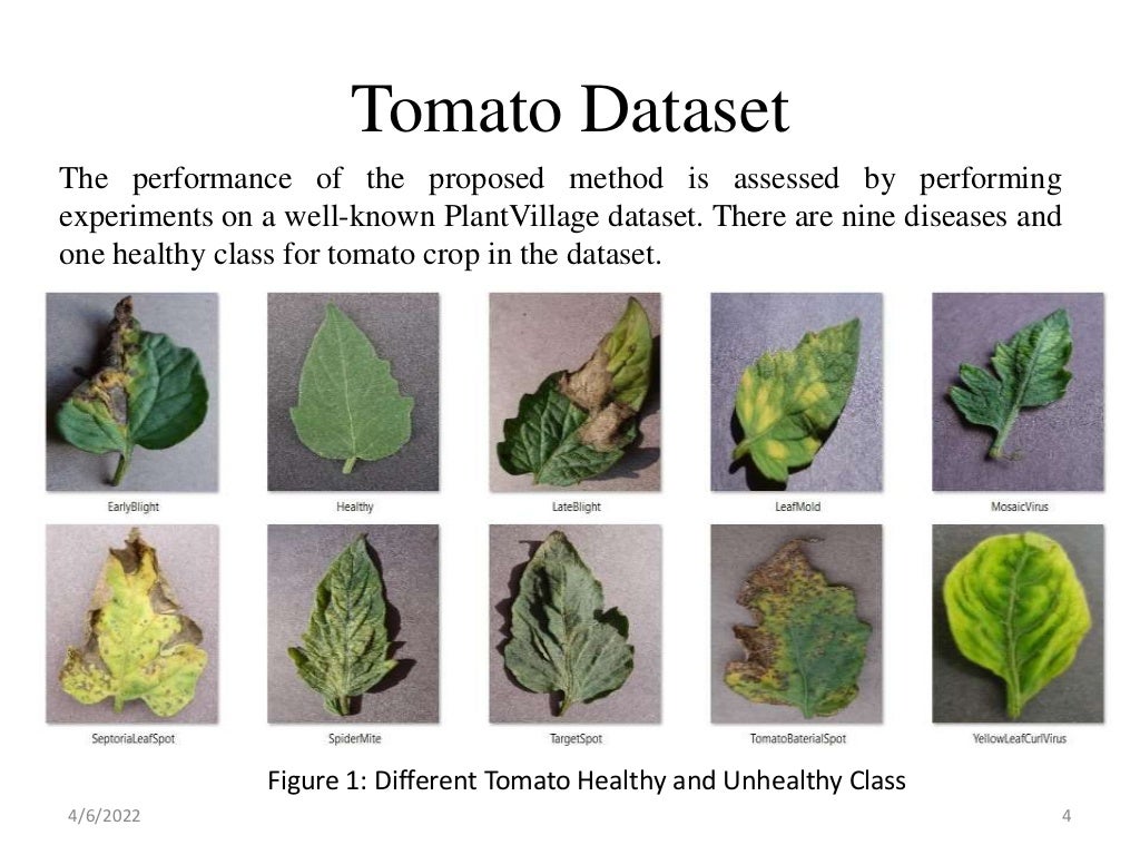 Tomato disease detection using deep learning convolutional neural ...