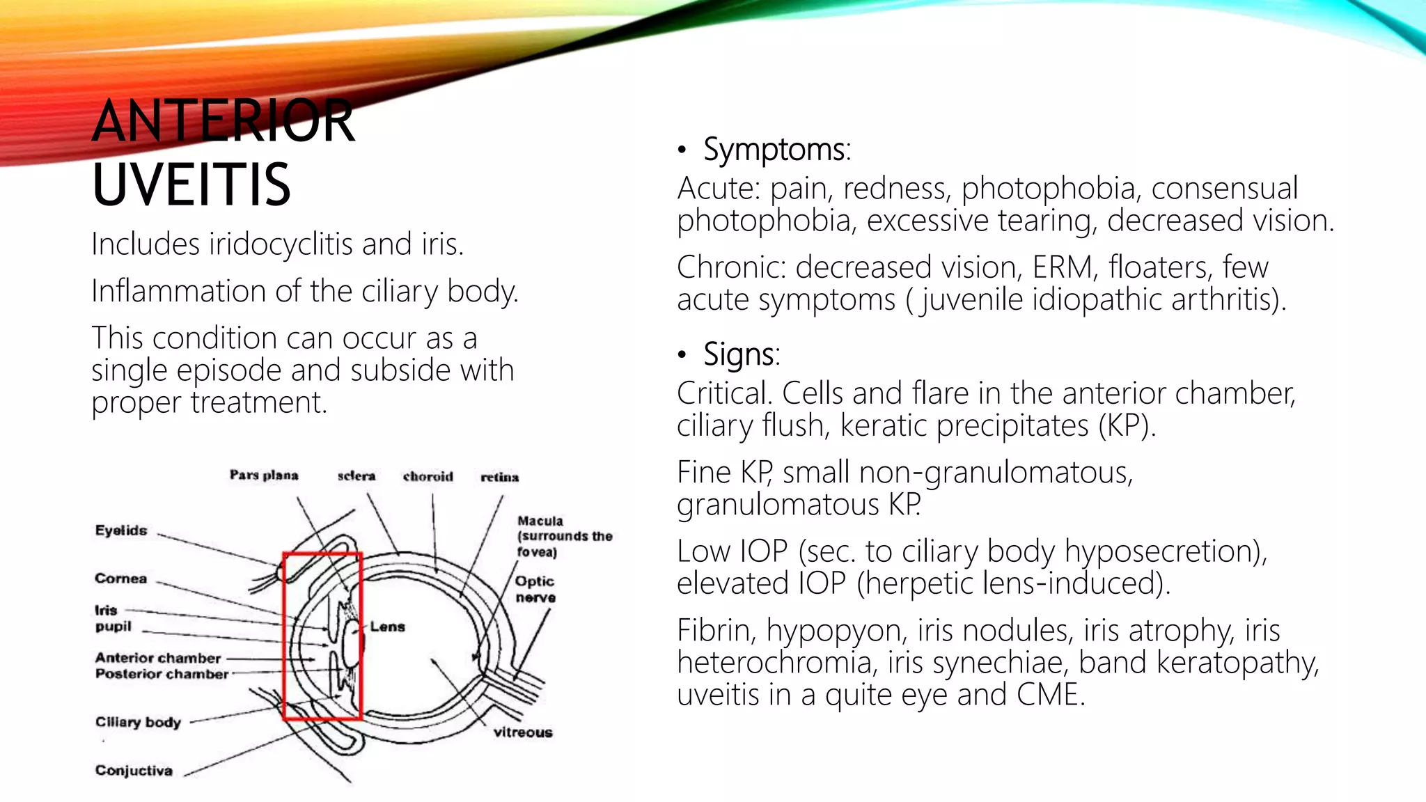 13. Uveitis.pptx