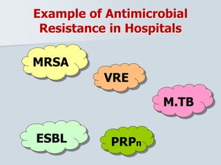 13.Antimicrobial Resistance.pptx