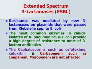 13.Antimicrobial Resistance.pptx