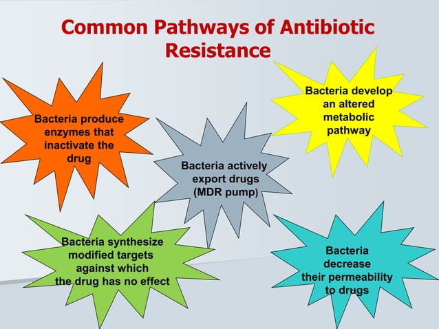 13.Antimicrobial Resistance.pptx