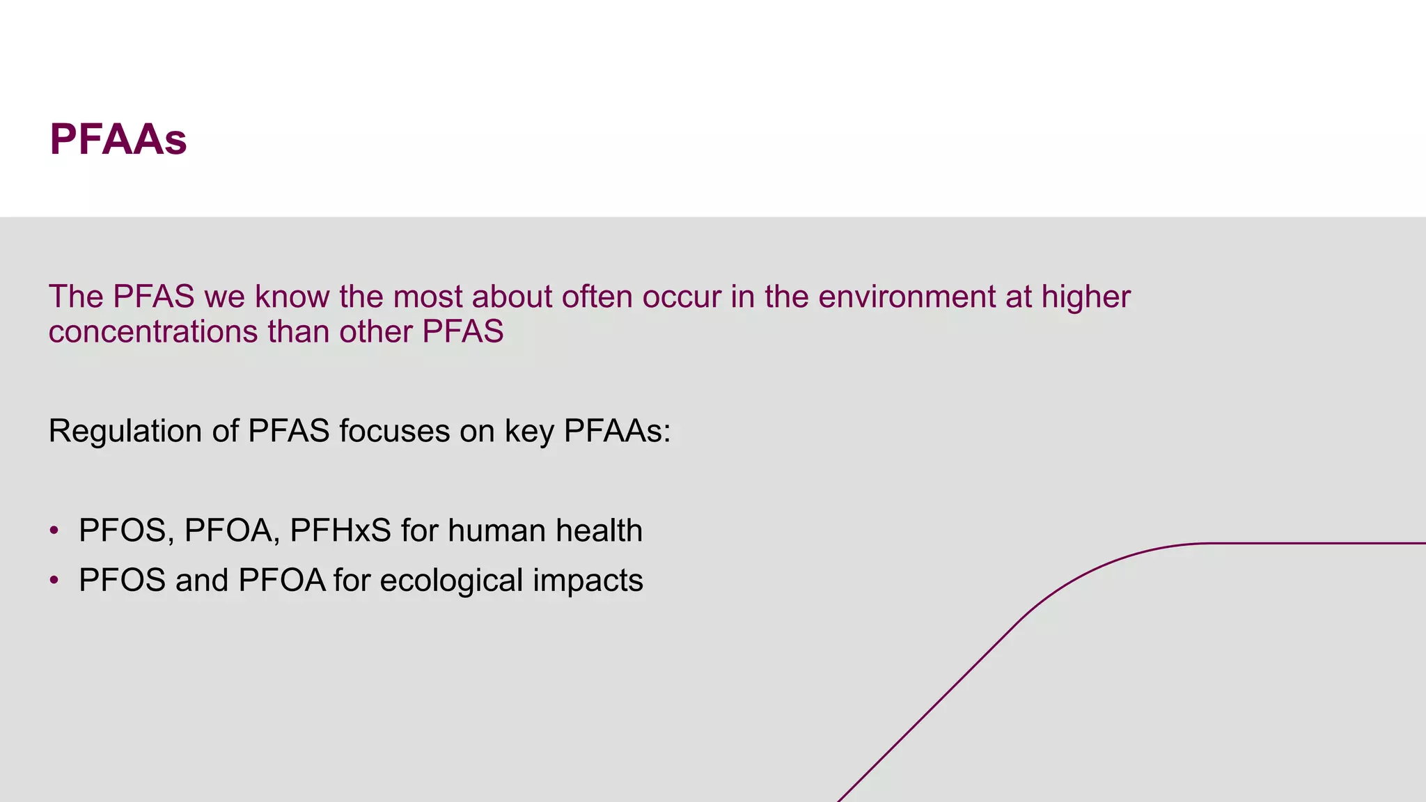 13.13 Nancy Tonkin.pdf