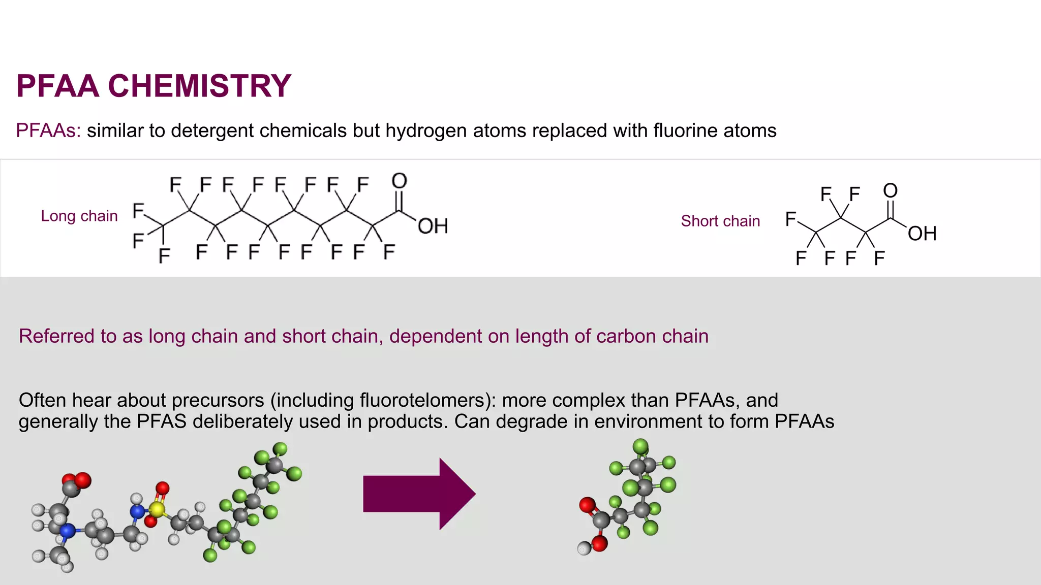 13.13 Nancy Tonkin.pdf