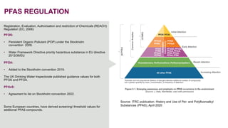 13.13 Nancy Tonkin.pdf