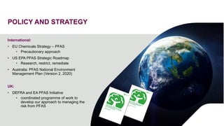 13.13 Nancy Tonkin.pdf