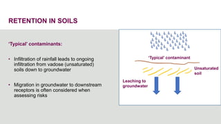 13.13 Nancy Tonkin.pdf