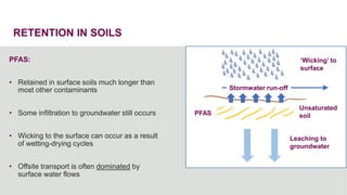 13.13 Nancy Tonkin.pdf