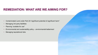 13.13 Nancy Tonkin.pdf